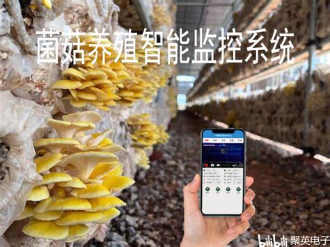 菌菇养殖智能监控系统主要功能 哔哩哔哩