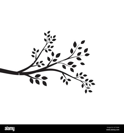 Tree Branch Vector Illustration Design Template Stock Vector Image Art Alamy