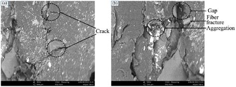 Sem Micrograph For Fractured Specimen With 40 Fibre Loading Download Scientific Diagram