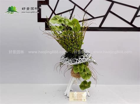 第四届中国沭阳花木节 园艺中心展馆