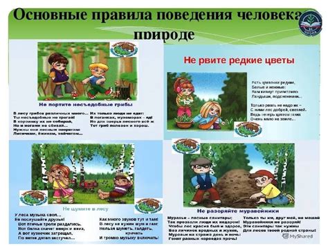 Презентация на тему правила поведения на природе