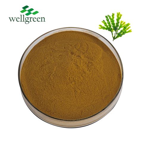 Natural Seaweed Extract Iodine Bladderwrack Extract Natural 05 Iodine