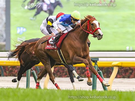 第59回 フローラs 回顧 競馬 研究ニュース