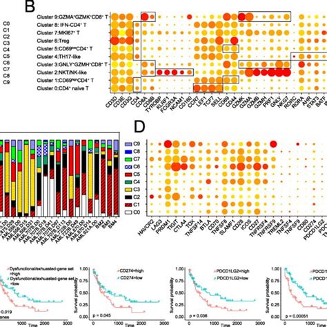 Dysfunctionalexhausted Cd8⁺ Tnk Subsets Revealed By Scrna Seq