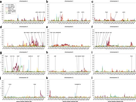 Genomic Map Of Regions Introgressed Among O Sativa Groups Download Scientific Diagram