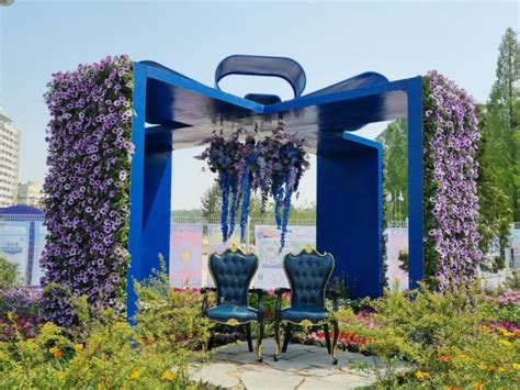 일산호수공원 꽃축제 첫날 후기 2023 고양국제꽃박람회 주차 입장료 할인 체험 공연 카페 네이버 블로그