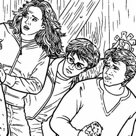 Coloriage Dharry Potter Avec Ron Et Hermione Tête à Modeler