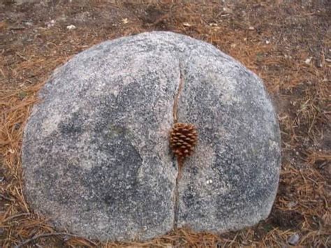 Its Rock Hard And Painful Butt Please Dont R