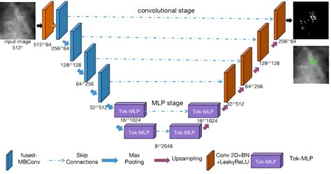 Image Segmentation Algorithm Pro UNeXt Network Structure Download Scientific Diagram