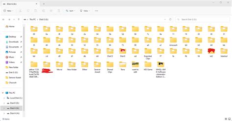 Bug Is V2rayN Exe Is A Malware What Are These Folders In My Dirve