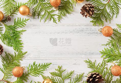 冷杉枝苏加细枝金色的圣诞球冷杉球果在白色的木质背景上为题词的地方