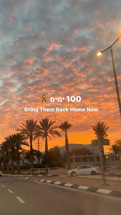 כרובית לימונית בירוקים איזו מנה מנת אירוח קלילה וטעימה שמתאימה גם