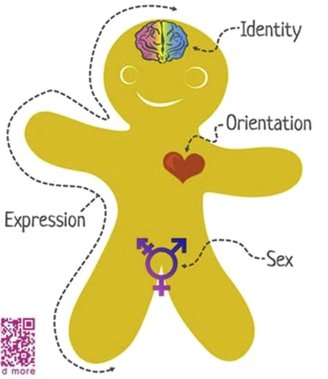 Improving Communication With The Gender Diverse Community In Diagnostic