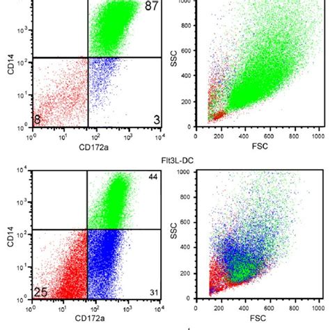 T Cell Stimulatory Capacities Of Flt3l Dc And Gmcsf Dc A Comparative Download Scientific