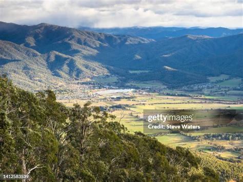 Emu Victoria Photos And Premium High Res Pictures Getty Images
