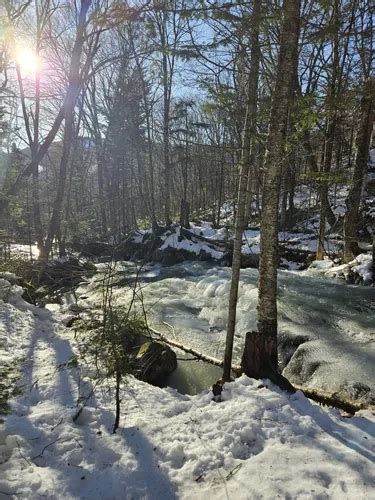 Best Hikes And Trails In Parc De La Forêt Ancienne Du Mont Wright Alltrails