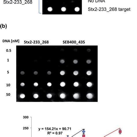 Chemiluminescence Detection Of Target Dsdna With An Engineered Zfp Pair