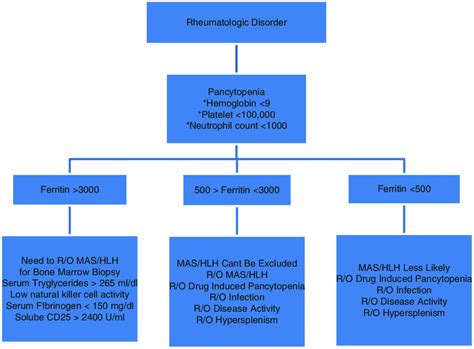 5 Algorithmic Approach For Hyperferritinemia With Pancytopenia In Download Scientific Diagram
