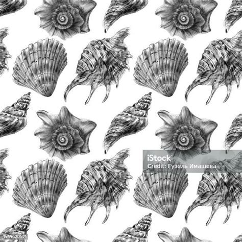 조개껍데기가 있는 매끄러운 흑백 패턴 손으로 그린 스케치 스타일 그림입니다 그리기에 대한 스톡 벡터 아트 및 기타 이미지
