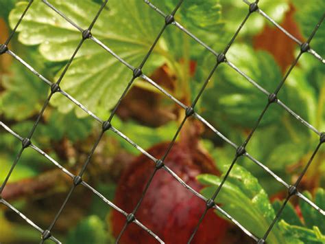 Windbreak And Garden Plant Protection Netting 50m Rolls