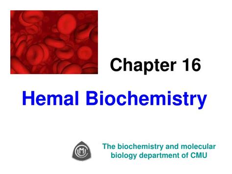 ppt chapter 16 powerpoint presentation free download id 3387638