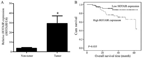 Relative Hotair Expression And Its Clinical Significance A Hotair