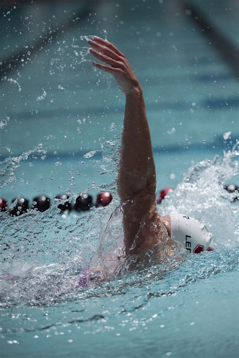 The Year At Stanford In Focus Stanford Report