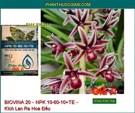 PHÂN BÓN LÁ NPK BIOVINA NPK TE Siêu Tạo Mầm Hoa Bung Cực Gà Phân Thuốc Giá Sỉ