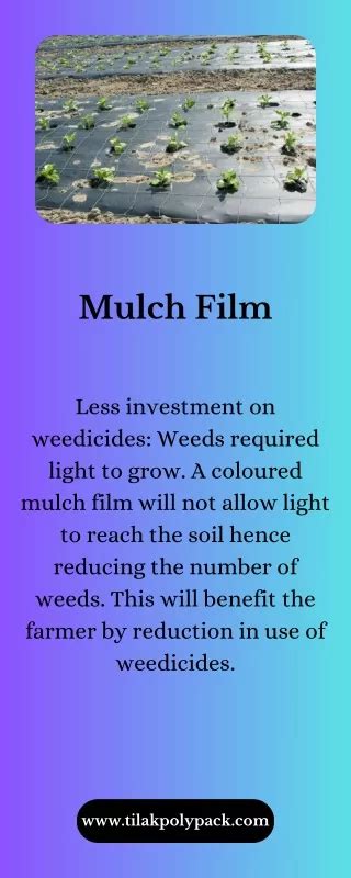 Ppt Forest Mulch Sales Brisbane Powerpoint Presentation Free