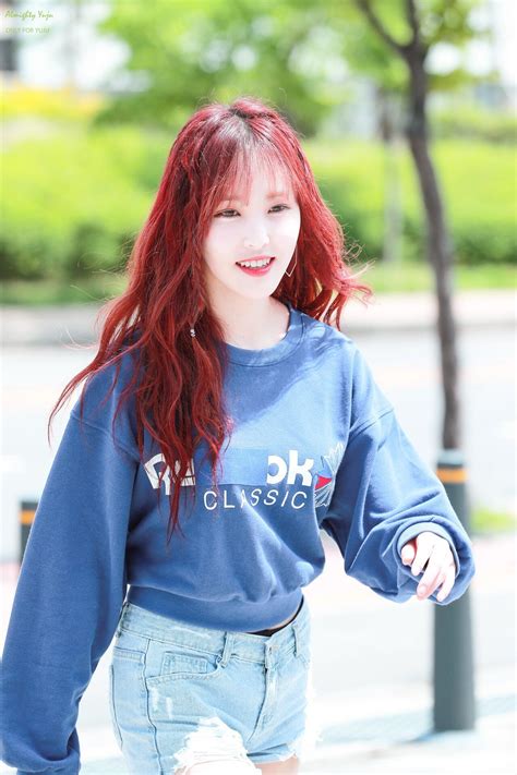 최씨 특징 연예인잡담 에펨코리아