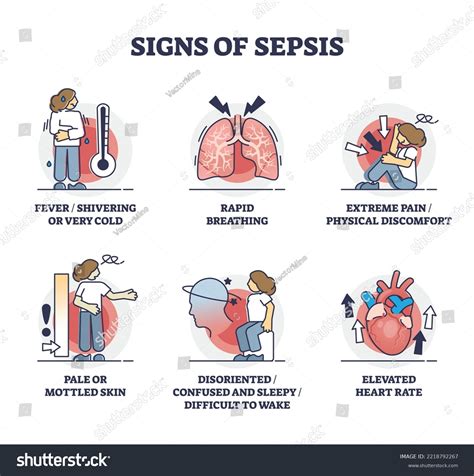 Signs Sepsis Infection Blood Poisoning Symptoms Stock Vector Royalty