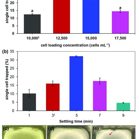 Average Single Cell Trapping Using The Mbm Microfluidic Device With