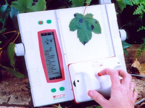 Specific Leaf Area Alchetron The Free Social Encyclopedia