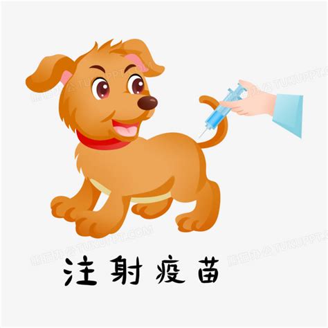 一组手绘插画文明养犬套图合集元素六PNG图片素材下载 插画PNG 熊猫办公