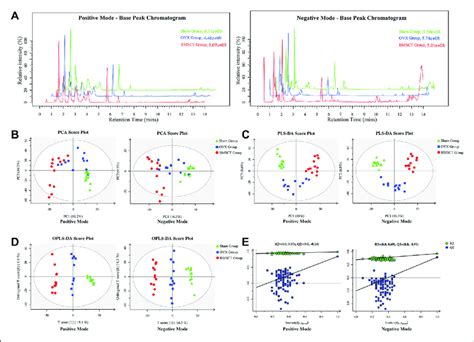 Multivariate Statistical Analysis Of Mouse Bone Tissue Based On Lc Ms