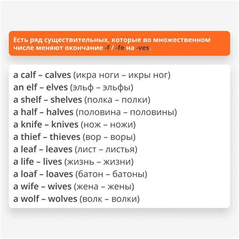 Множественное число в английском языке основные правила English An