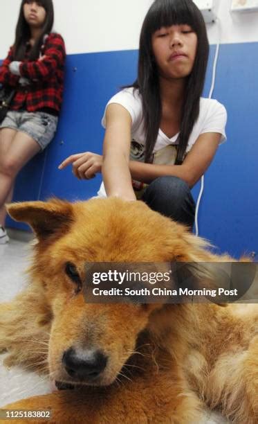Chi Ping Photos And Premium High Res Pictures Getty Images
