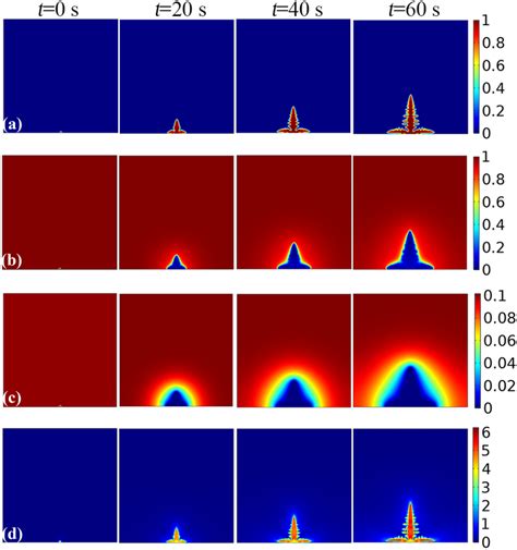 simulation results of lithium dendrite growth a phase field