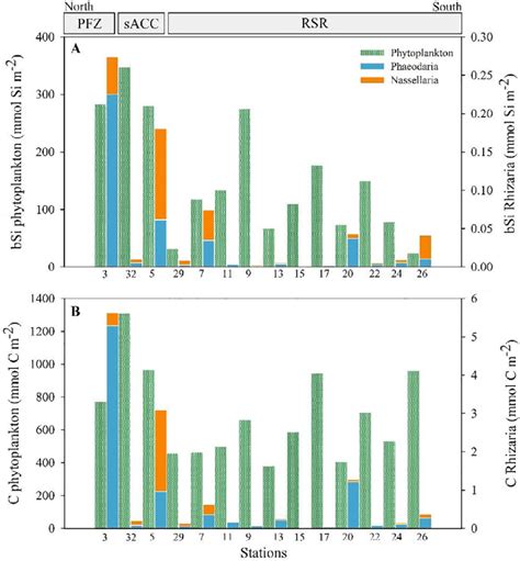 Biogenic Silica Bsi In Mmol Si M −2 A And Carbon In Mmol C M −2