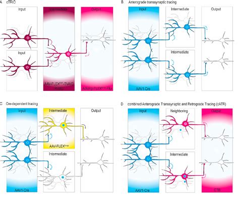 Figure 1 From Catr Tracing Approach To Identify Individual Intermediary