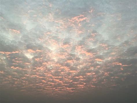 Arambol Beach 2020 All You Need To Know BEFORE You Go With Photos