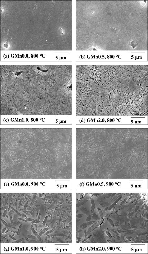 Sem Images Showing Evolution Microstructure Of Glass Powder Compacts