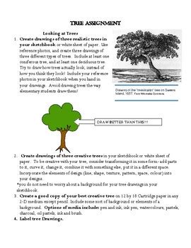 Real And Creative Tree Drawing Assignment High Babe Art Project