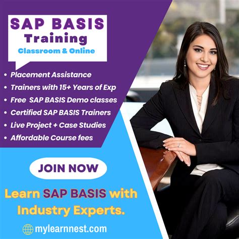 Maximizing Operational Efficiency A Definitive Guide To Sap Basis For Business Optimization