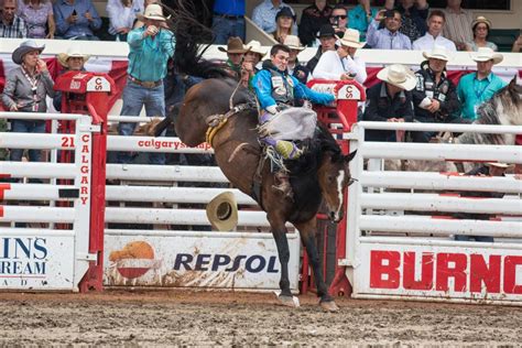 3somes And Strip Clubs What Really Goes On At The Calgary Stampede Sporting News Australia