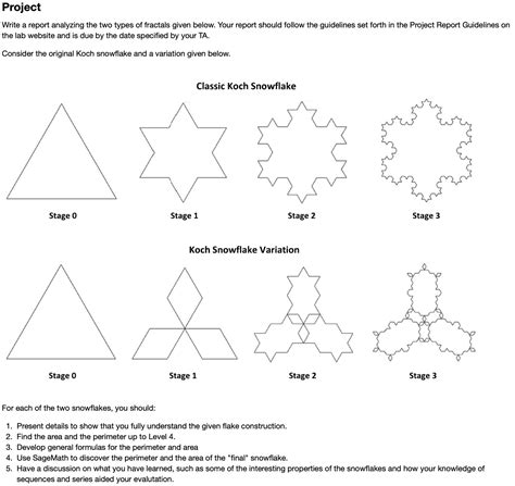 Write A Report Analyzing The Two Types Of Fractals