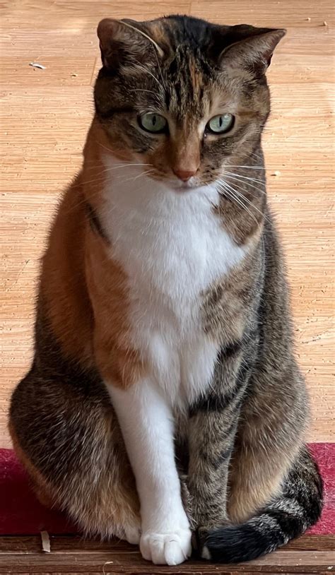 こんにちは 121 テキトーでもいいんじゃね？