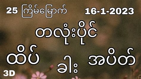 25 ကြိမ်မြောက် 3d 16 1 2023 အတွက် တလုံးပိုင် ထိပ် ခါး အပိတ်။ Youtube
