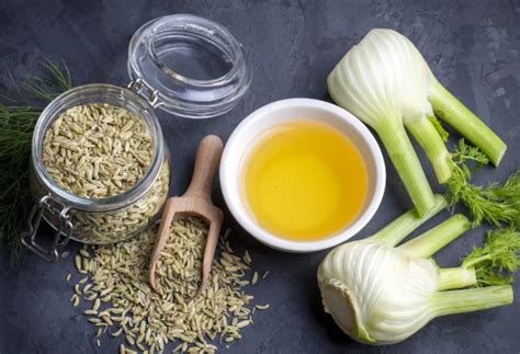 The Comprehensive Guide To Fennel Tea Benefits Risks And Uses