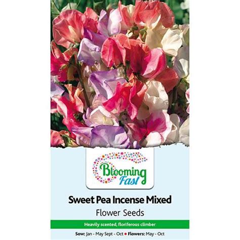 Sweet Pea Incense Mixed Packet Of Seed Gardening Direct